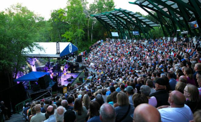 Music in the Zoo | Sue McLean & Associates